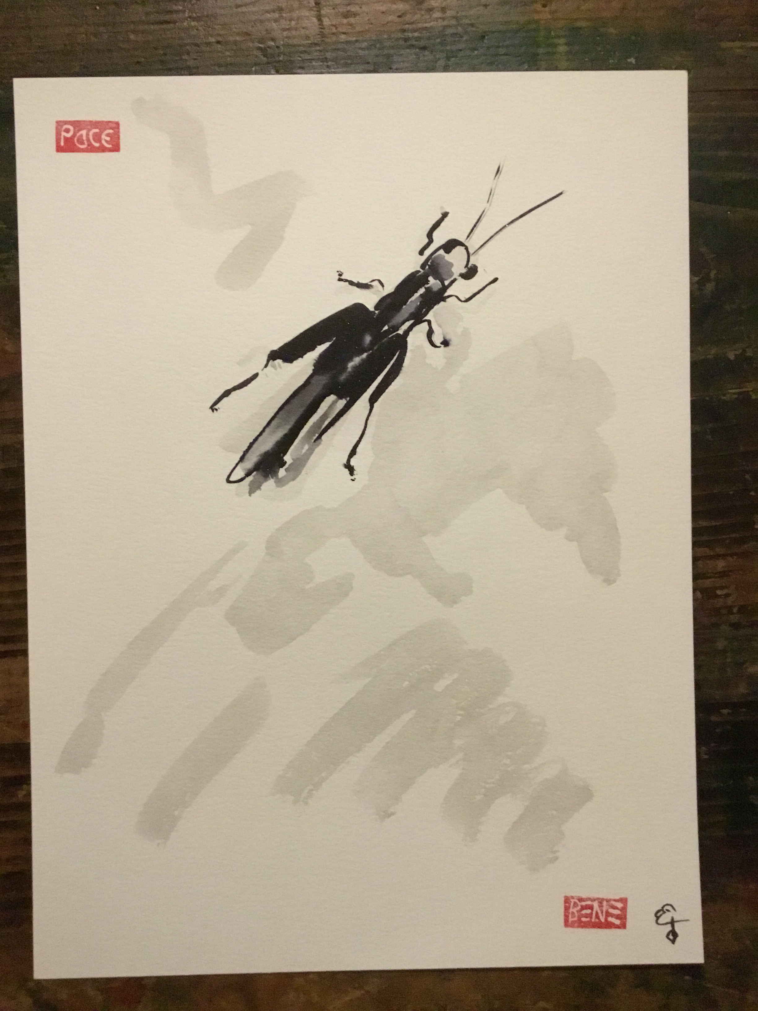 Bugged | Ministry of Animals